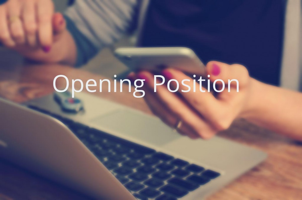 Opening Position : Sales Area Engineer - Keopsys